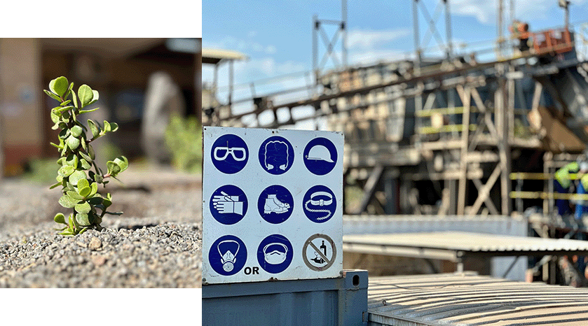 AR’s compliance - Compliance - ARM Andalusite